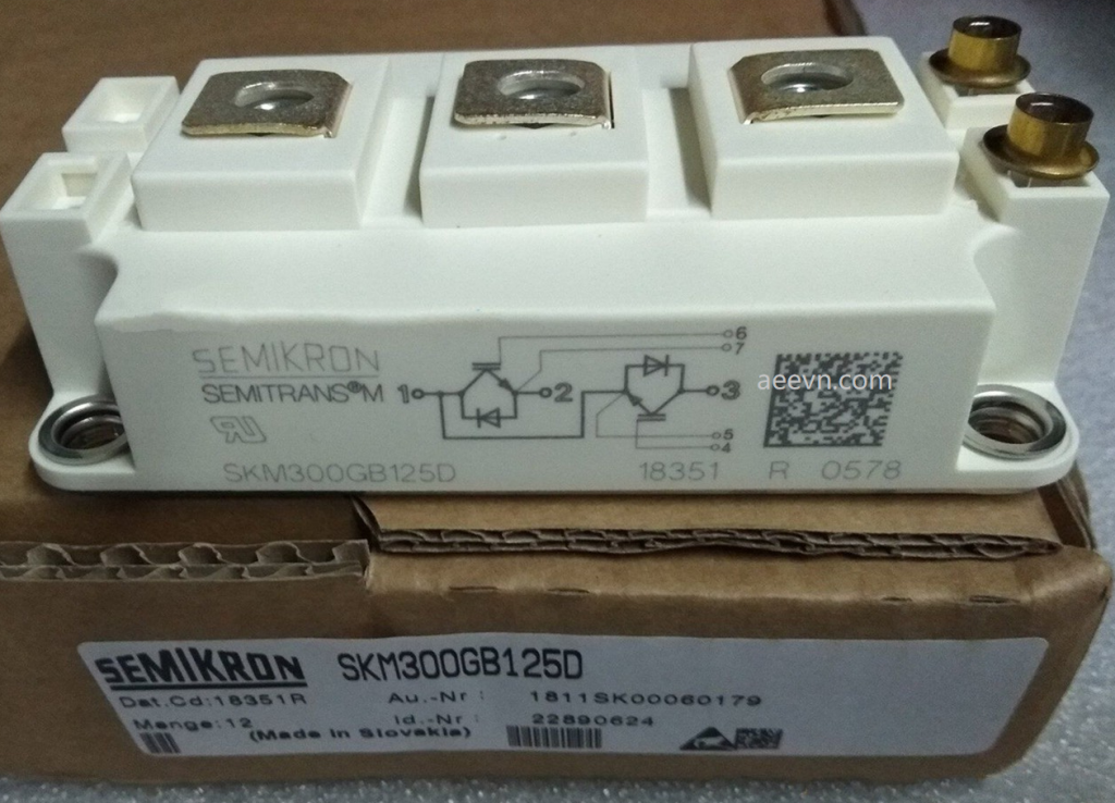 Module IGBT, SCR, DIODE chính hãng SEMIKRON hàng Made in Slovakia ...